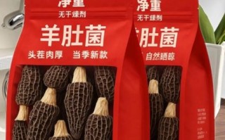 羊肚菌多少钱一斤干货_羊肚菌价格为什么差别大