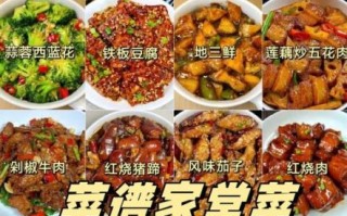家常菜谱100例怎么做_新手也能一次成功