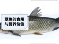 草鱼的营养价值_草鱼的功效与作用