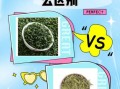 龙井茶和碧螺春的区别_如何辨别真假