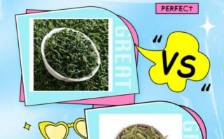 龙井茶和碧螺春的区别_如何辨别真假