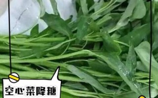 空心菜叶的功效与作用_空心菜叶可以生吃吗