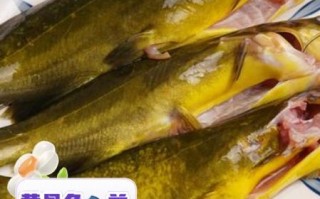 黄骨鱼不能和什么一起吃_孕妇能吃黄骨鱼吗
