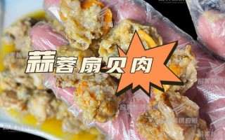扇贝肉怎么清洗_扇贝肉清洗方法
