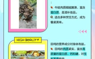 田鸡是不是牛蛙_田鸡和牛蛙的区别