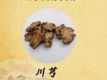 川芎的功效与作用是什么_川芎主治哪些疾病