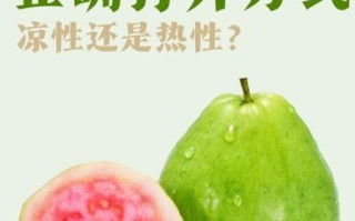 石榴是凉性还是热性_吃石榴上火吗