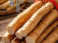 铁棍山药图片大全_如何挑选正宗铁棍山药