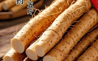 铁棍山药图片大全_如何挑选正宗铁棍山药