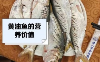 油鱼多少钱一斤_油鱼价格为什么差异大