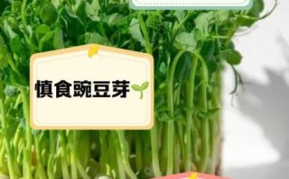 豌豆芽可以吃吗_豌豆芽生吃有毒吗