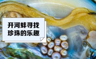 普通河蚌有珍珠吗_如何辨别河蚌珍珠