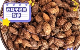 苍耳子治鼻炎偏方绝招_苍耳子怎么用效果最好