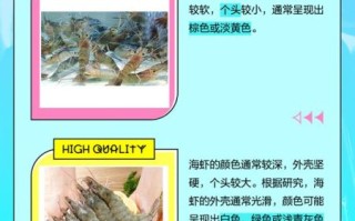 盐水虾是什么虾_盐水虾和普通虾区别