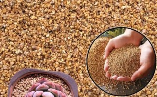 麦饭石十大名牌有哪些_如何挑选