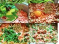 豇豆饺子怎么调馅才好吃_豇豆饺子馅要不要焯水