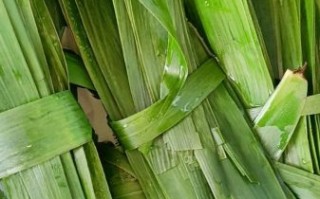 芦苇叶包粽子教程_芦苇叶怎么处理不裂