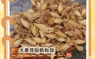 麦芽水回奶怎么煮_麦芽水回奶的正确做法