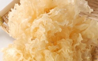 银耳泡发10分钟可以吗_银耳快速泡发技巧