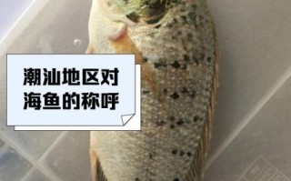 花雕鱼是什么鱼_花雕鱼多少钱一斤