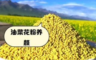 油菜花粉对男性性功能有用吗_油菜花粉能提高性能力吗
