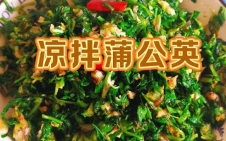 蒲公英的做法大全_蒲公英怎么做好吃
