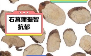 石菖蒲的功效与作用_石菖蒲主治什么病