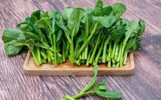 菜心苗和菜心的区别_哪个更好吃