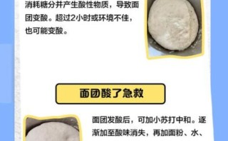 酵母粉发面多长时间_酵母粉发面失败原因