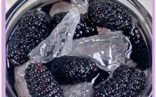 桑葚酒的做法_桑葚酒怎么泡才更甜