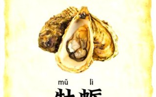 生蚝有什么功效与作用_生蚝补肾壮阳是真的吗