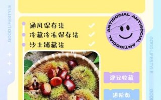 板栗怎么储存不会坏_新鲜板栗可以放多久