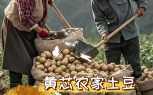 老土豆视频还能找到吗_老土豆视频去哪看