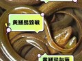 吃黄鳝的禁忌_什么人不能吃黄鳝