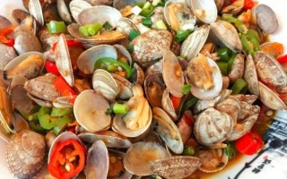 蛤蜊种类大全_哪种蛤蜊最好吃