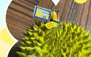 第一次吃榴莲怎么吃好吃_榴莲怎么吃不臭