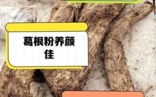 葛根粉怎么吃_葛根粉的功效与作用