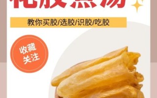 花胶怎样煲汤_花胶煲汤的正确方法