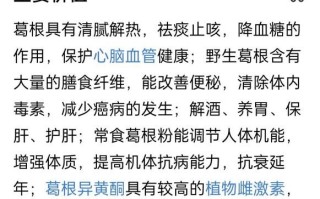 野生葛根粉有什么功效_野生葛根粉怎么吃效果最好