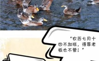 中元节吃什么传统食物_中元节为什么要吃鸭子