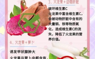 晚上吃火龙果有什么好处和坏处_晚上吃火龙果会胖吗