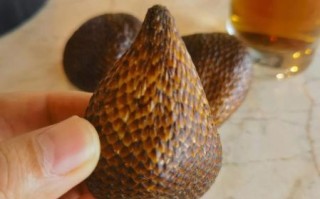 蛇皮果多少钱一斤_蛇皮果价格行情