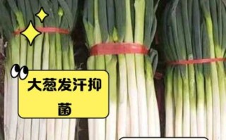 男人吃大葱壮阳吗_大葱对男性有哪些好处