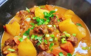 番茄牛肉怎么做好吃_番茄炖牛肉最正宗的做法