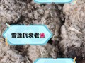 雪莲花有什么功效与作用_雪莲花怎么吃效果最好