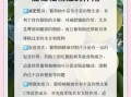 葡萄柚精油减肥怎么用_葡萄柚精油减肥多久见效