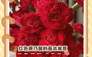 花语希望救赎的花有哪些_如何挑选寓意重生的花束