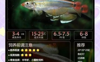 金丝鱼多少钱一斤_金丝鱼价格为什么波动大