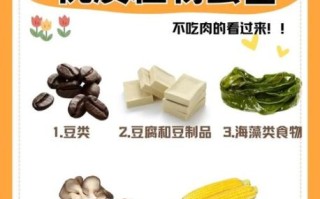 素食有哪些种类_素食主义者吃什么