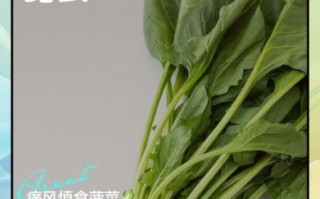 菠菜和豆腐能一起吃吗_食物相宜相克手册